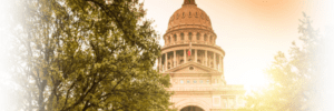 A Beginner's Guide to Understanding the Texas Legislature - Texas ...