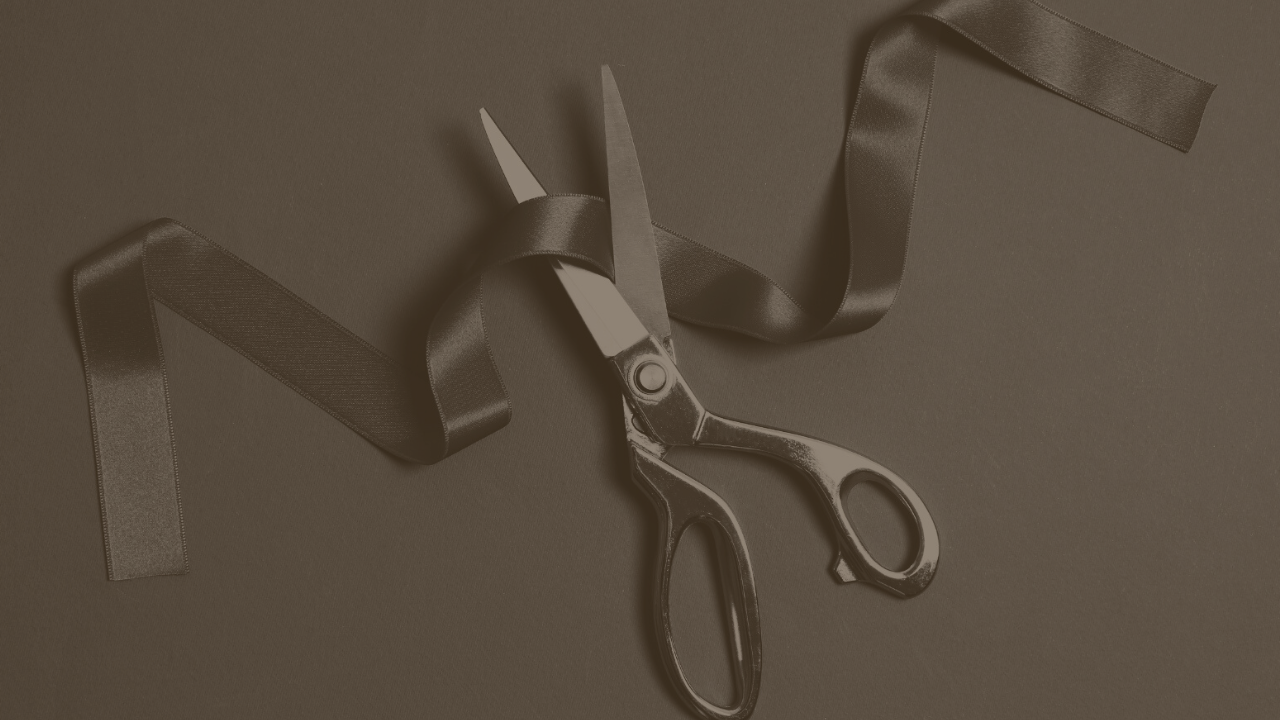 DOGE Legislation Passes Texas Senate - Texas Policy Research