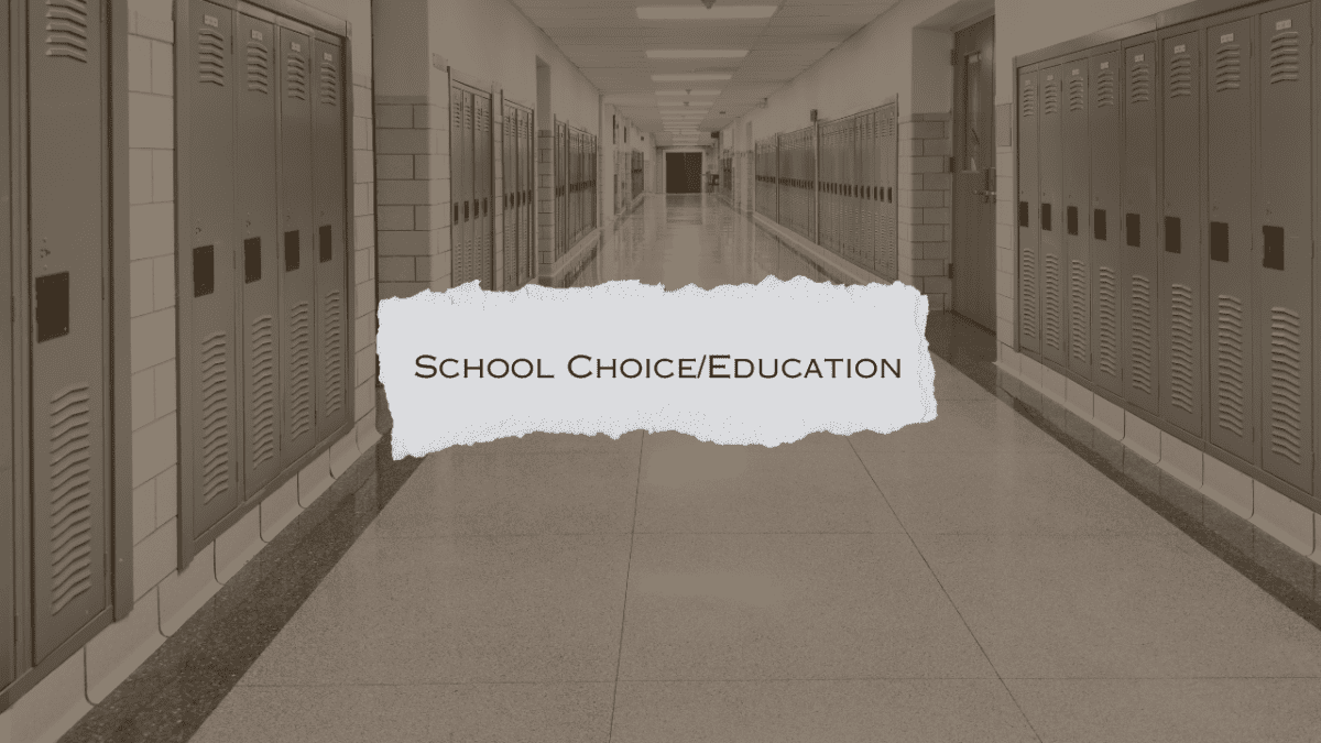 89th Legislative Session Policy Brief: Border Security - Texas Policy ...