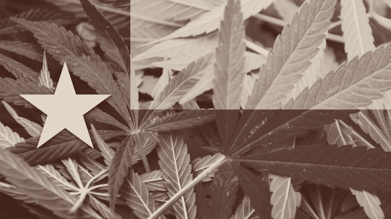 Texas Hemp Regulation Is Becoming a Roundabout Ban - Texas Policy Research